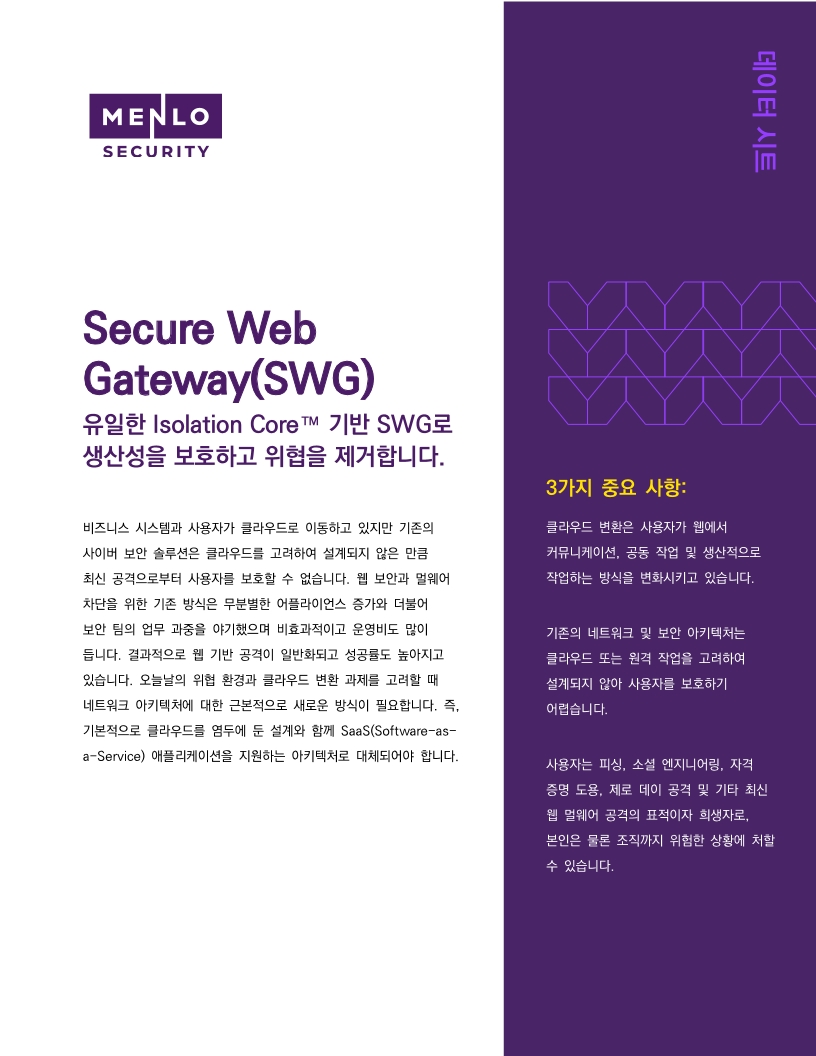 Secure Web Gateway Swg